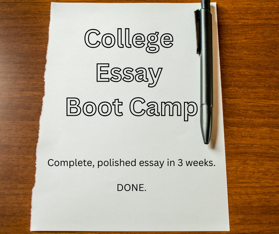 All courses | Online Scribblers